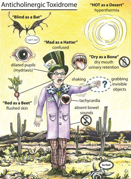 anticholinerg 392